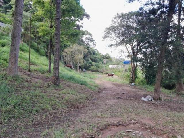 Terreno à venda, 11096 m² por R$ 2.700.000,00 Chácaras Embu Colonial Embu das Artes/SP