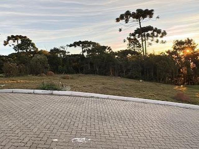 Terreno à venda, 1110 m² por R$ 960.000,00 Alto da Boa Vista Campos do Jordão/SP