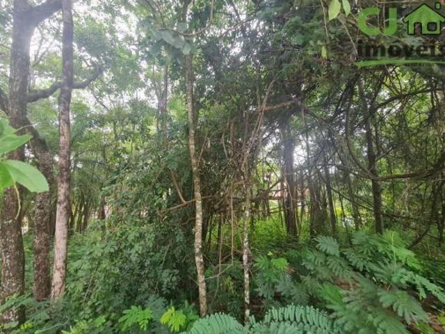 Terreno à venda, 1128 m² por R$ 300.000,00 Condomínio Canto do Riacho Lagoa Santa/MG
