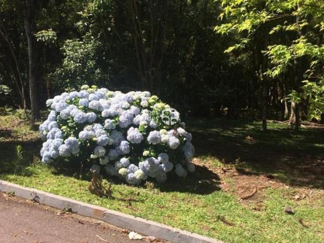 Terreno à venda, 1242 m² por R$ 682.900,00 Lagos Do Bosque Gramado/RS