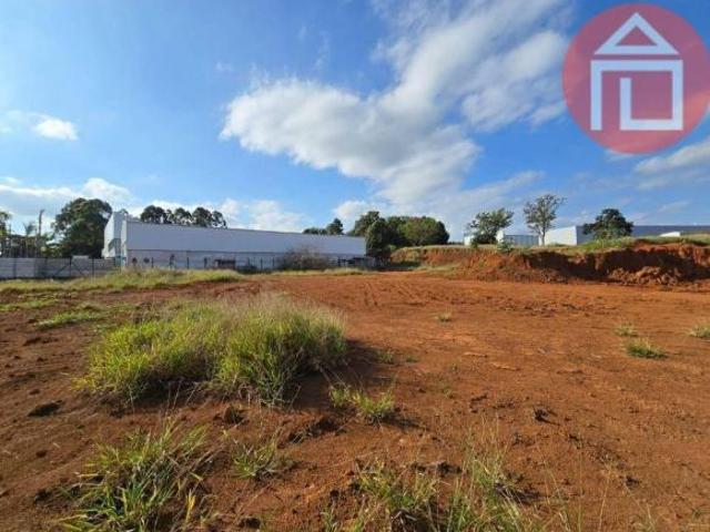 Terreno à venda, 1242 m² por R$ 730.000,00 Curitibanos Bragança Paulista/SP