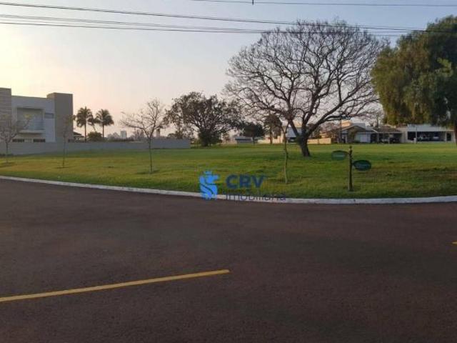 Terreno à venda, 1253 m² por R$ 870.000,00 Jardim Tarobá Cambé/PR