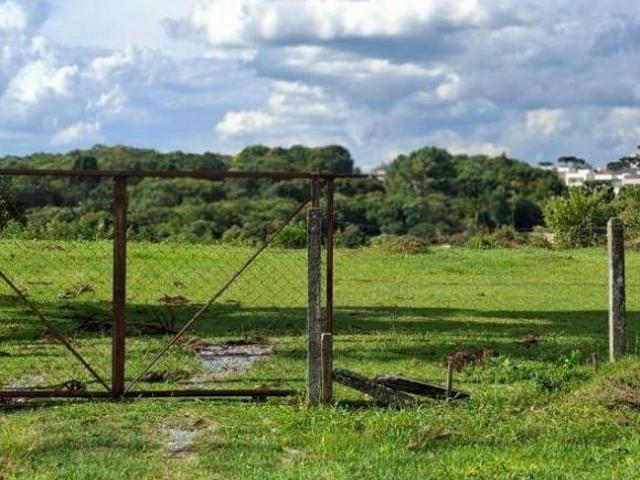 Terreno à venda, 1250 m² por R$ 950.000,00 Taboão Curitiba/PR