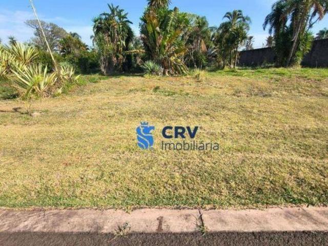 Terreno à venda, 1258 m² por R$ 660.000,00 Maanaim Londrina/PR