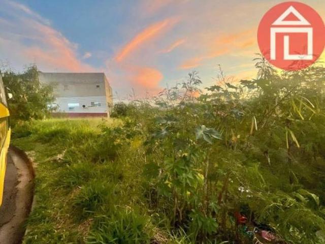 Terreno à venda, 125 m² por R$ 120.000,00 Jardim São Lourenço Bragança Paulista/SP