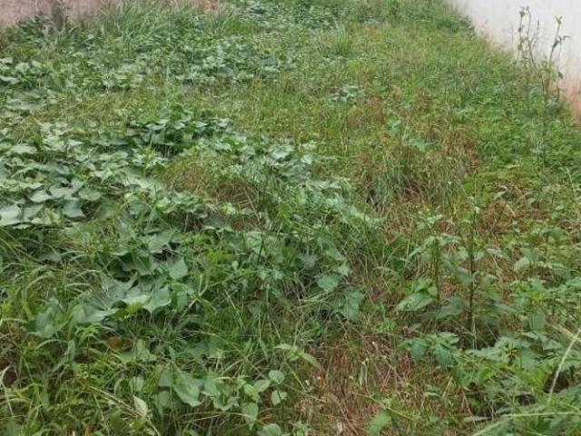 Terreno à venda, 125 m² por R$ 328.600,00 Parque Marajoara Santo André/SP