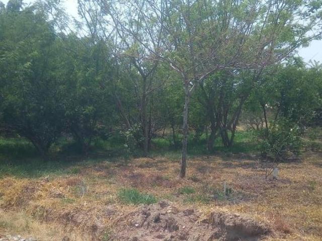 Terreno à venda, 1260 m² por R$ 100.000,00 Collinas de Porangaba Porangaba/SP