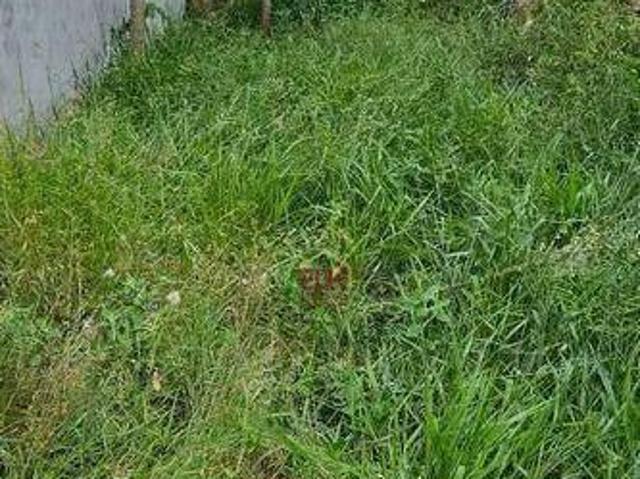 Terreno à venda, 127 m² por R$ 178.000 Parque Residencial Flamboyant São José dos Campos/SP