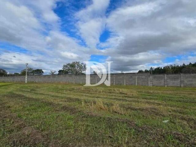 Terreno à venda, 1287 m² por R$ 390.000,00 Condomínio Palmeiras Imperiais Salto/SP