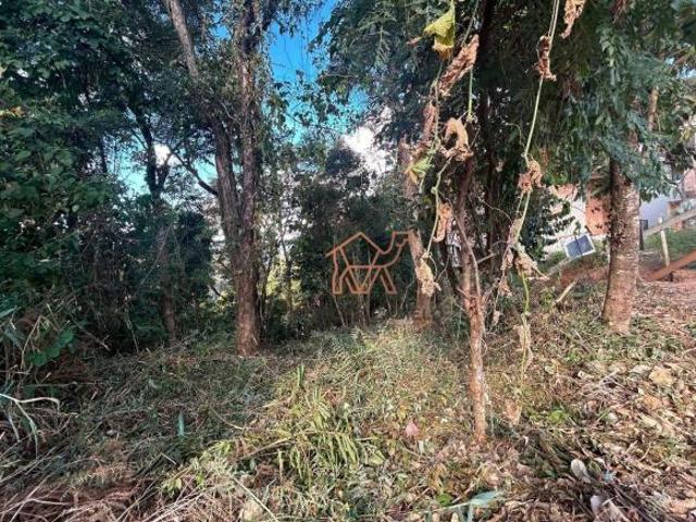Terreno à venda, 1295 m² por R$ 850.000,00 Mirante da Mata Nova Lima/MG