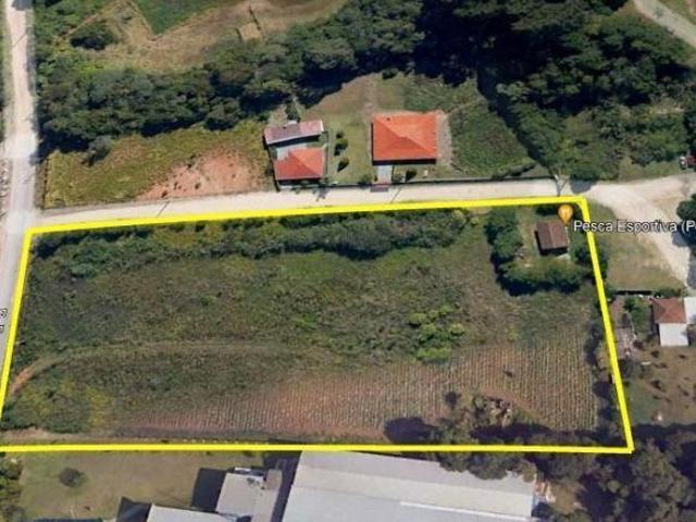 Terreno à venda, 12000 m² por R$ 2.500.000,00 Thomaz Coelho Araucária/PR