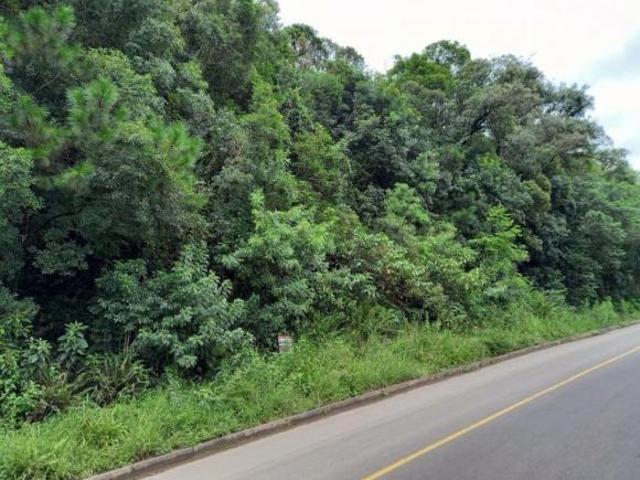 Terreno à venda, 1200 m² por R$ 750.000,00 Alpes Verdes Canela/RS