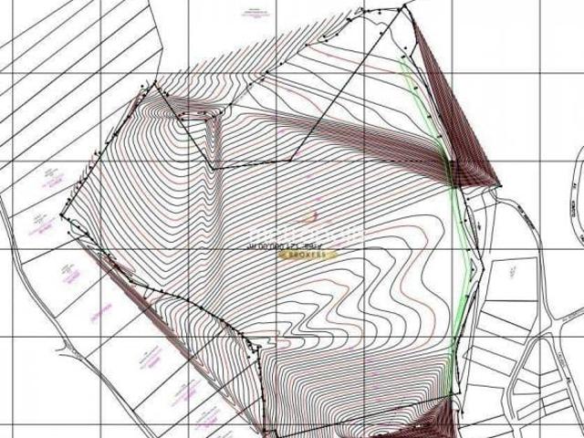 Terreno à venda, 121000 m² por R$ 1.595.000,00 Jardim Aprazível Ouro Fino Paulista Ribeirão Pi