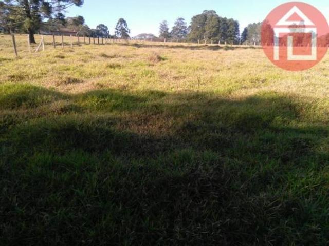 Terreno à venda, 1350 m² por R$ 472.500 Curitibanos Bragança Paulista/SP