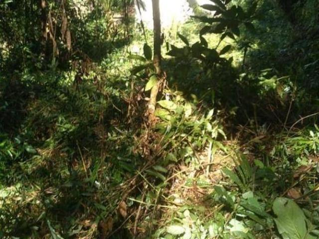 Terreno à venda, 1355 m² por R$ 270.000,00 Mairiporã Mairiporã/SP