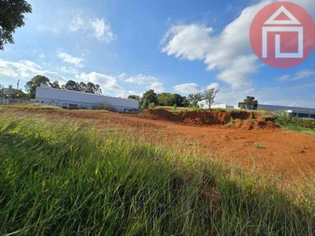 Terreno à venda, 1374 m² por R$ 730.000,00 Curitibanos Bragança Paulista/SP