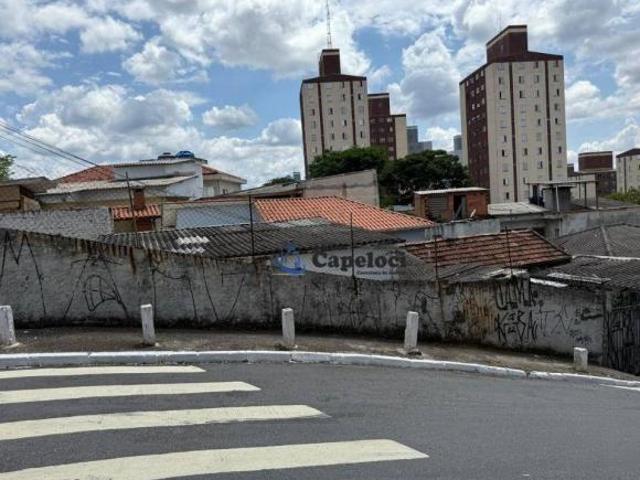 Terreno à venda, 137 m² Parque São Luís São Paulo/SP