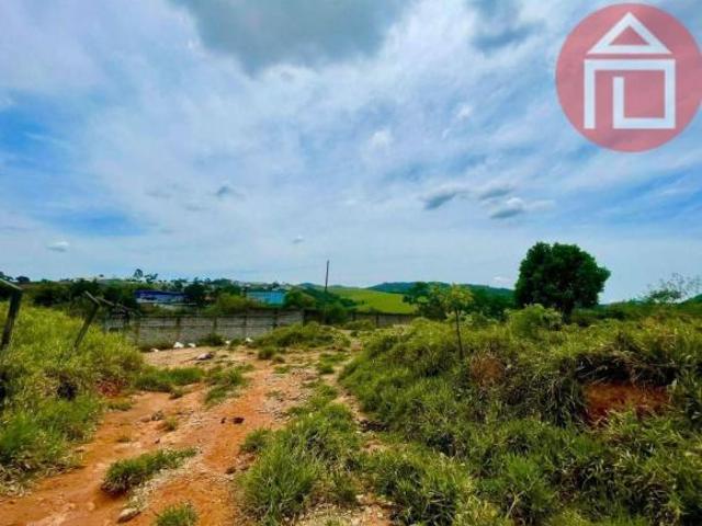 Terreno à venda, 13995 m² por R$ 3.898.719,00 Penha Bragança Paulista/SP