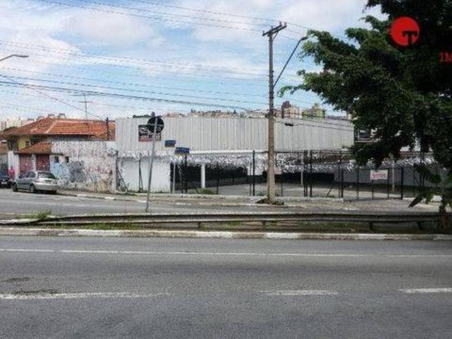 Terreno à venda, 1300 m² por R$ 4.800.000,00 Vila Marieta São Paulo/SP