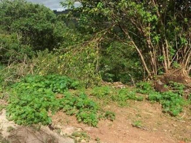 Terreno à venda, 1315 m² por R$ 199.000,00 Sorocamirim São Roque/SP