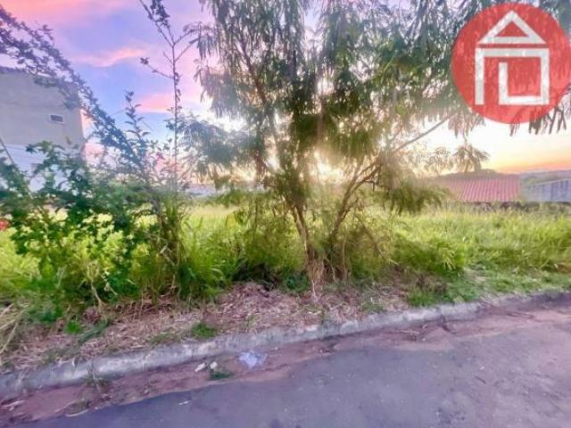 Terreno à venda, 131 m² por R$ 120.000,00 Jardim São Lourenço Bragança Paulista/SP