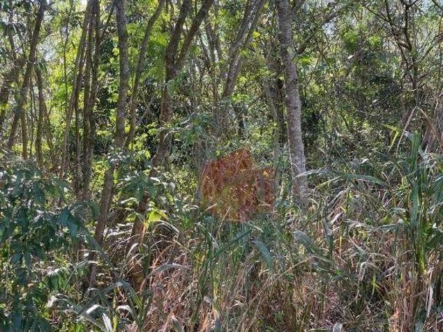 Terreno à venda, 145000 m² por R$ 1.000.000,00 Centro Santo Antônio da Platina/PR