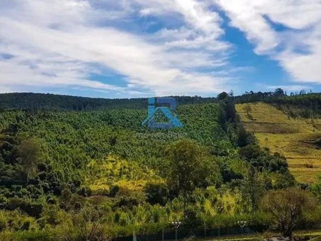 Terreno à venda, 1455 m² por R$ 380.000,00 Fazenda São Silvano Morungaba/SP