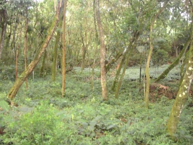 Terreno à venda, 1472 m² por R$ 415.000,00 Granja Viana Carapicuíba/SP