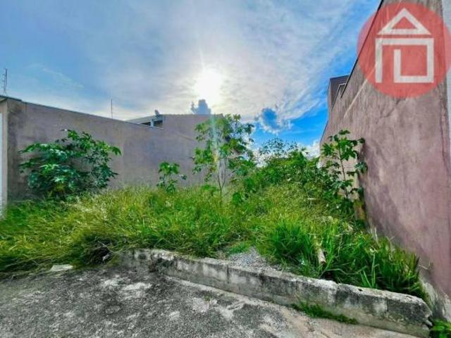 Terreno à venda, 140 m² por R$ 180.000,00 Residencial Quinta dos Vinhedos Bragança Paulista/SP