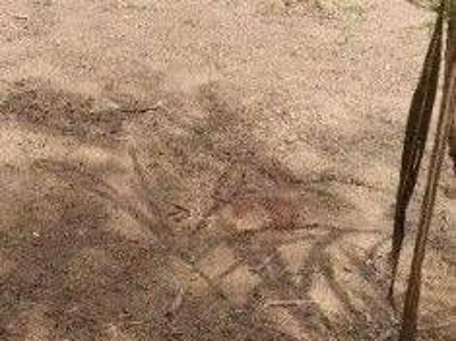 Terreno à venda, 140 m² por R$ 80.000,00 Jardim Japão Caucaia do Alto Cotia/SP