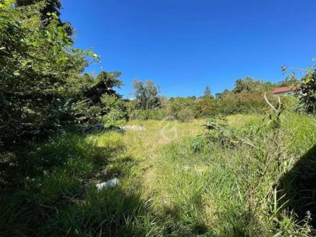 Terreno à venda, 1578 m² por R$ 375.000,00 Campestre São Leopoldo/RS