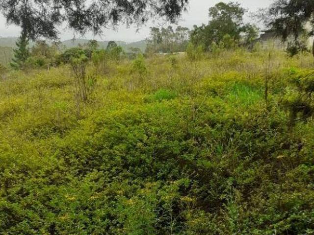 Terreno à venda, 1500 m² por R$ 240.000,00 Estância Piratininga Suzano/SP