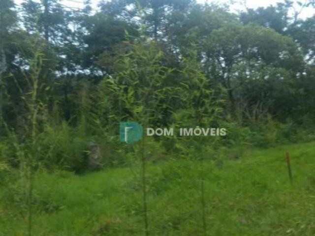 Terreno à venda, 1500 m² por R$ 330.000,00 Vina Del Mar Juiz de Fora/MG