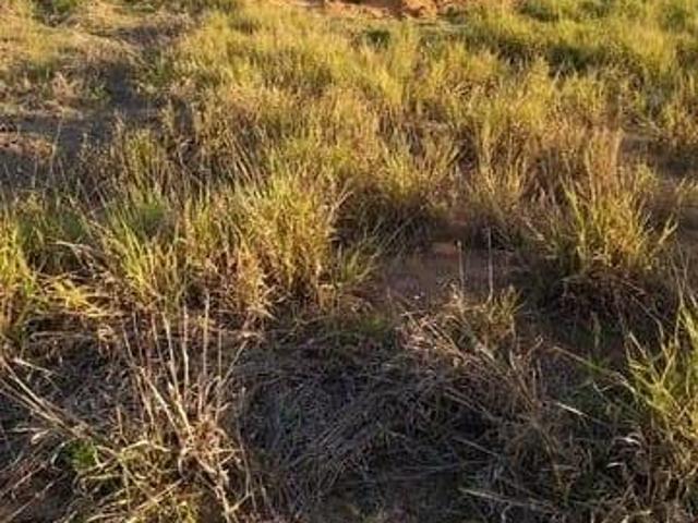 Terreno à venda 150M², Areao, Taubaté SP