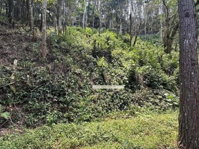Terreno à venda, 1510 m² por R$ 799.900,00 Arujazinho I. II E III Arujá/SP