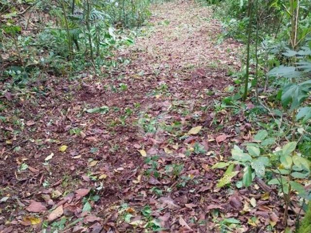 Terreno à venda, 1528 m² por R$ 693.000,00 Rio Abaixo Mairiporã/SP