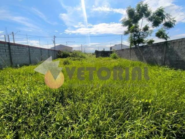 Terreno à venda, 153 m² por R$ 150.000 Perequê Mirim Caraguatatuba/SP