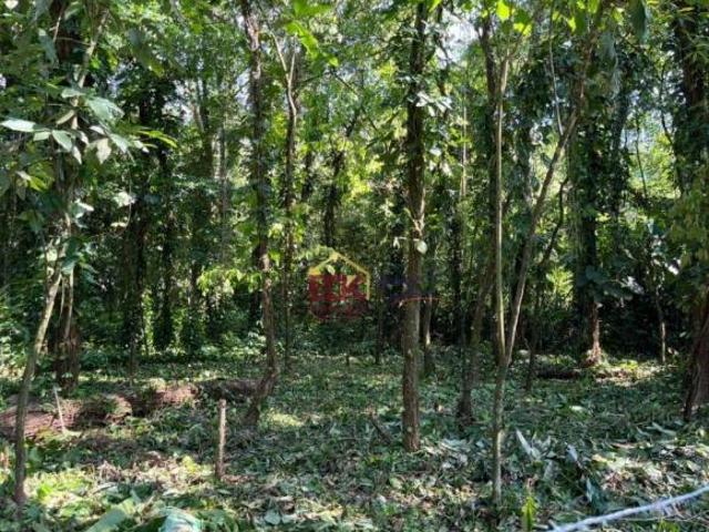 Terreno à venda, 1640 m² por R$ 425.000,00 Boiçucanga São Sebastião/SP