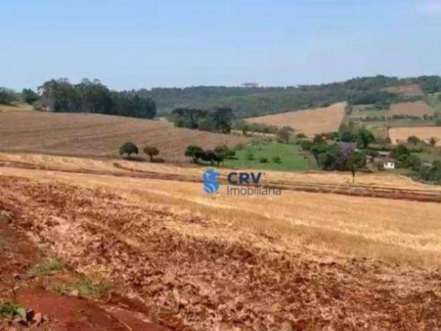 Terreno à venda, 169400 m² por R$ 18.295.200,00 Estrada da Cegonha Londrina/PR