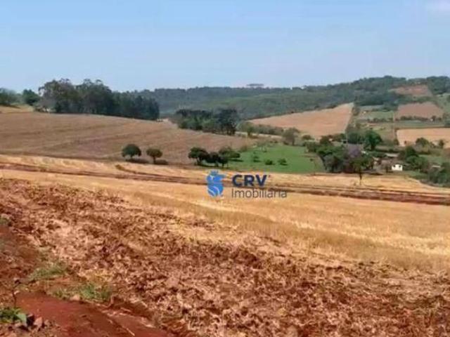 Terreno à venda, 169400 m² por R$ 18.295.200,00 Estrada da Cegonha Londrina/PR