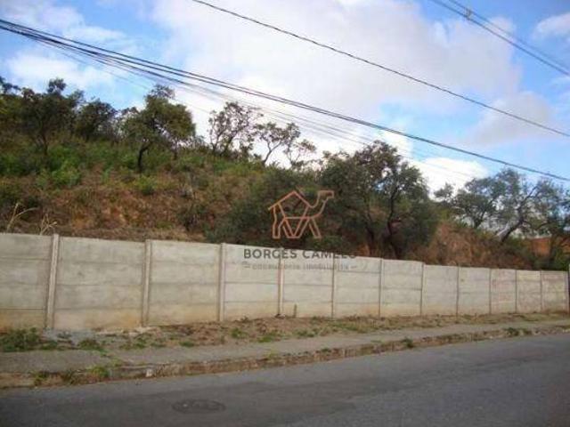 Terreno à venda, 1600 m² por R$ 3.000.000,00 Buritis Belo Horizonte/MG