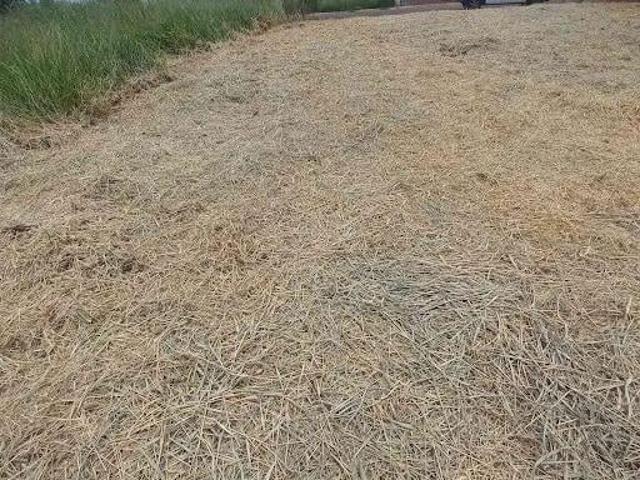 Terreno à venda, 160 m² por R$ 215.000,00 Loteamento Parque Vasconcellos Hortolândia/SP