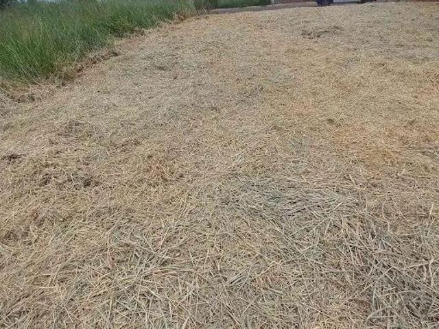 Terreno à venda, 160 m² por R$ 220.000,00 Loteamento Parque Vasconcellos Hortolândia/SP