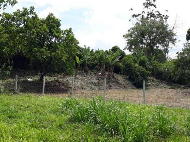 Terreno à venda, 1623 m² por R$ 50.000,00 Sambaq