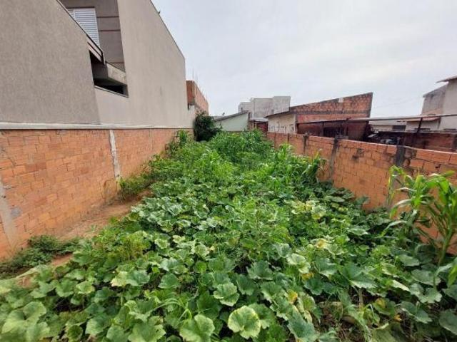 Terreno à venda, 162 m² por R$ 160.000,00 Jardim Mirandola Americana/SP