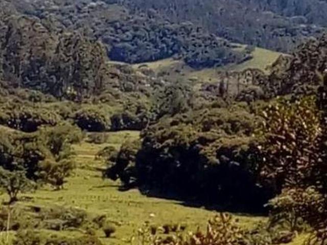 Terreno à venda, 16300 m² por R$ 798.300,00 Cassununga Santo Antônio do Pinhal/SP