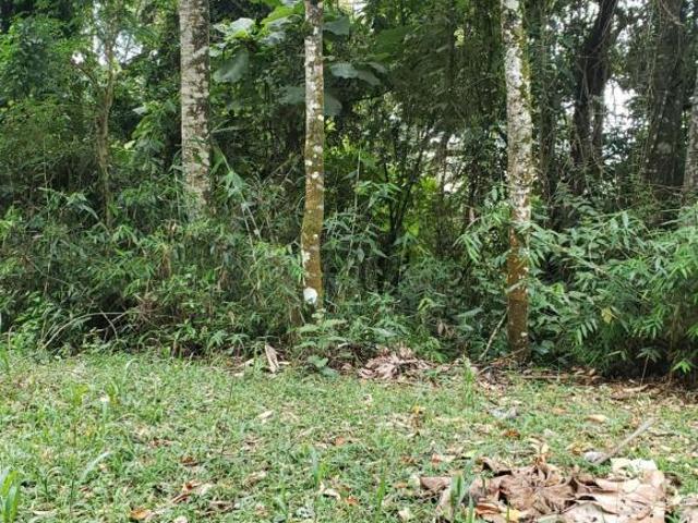 Terreno à venda, 1748 m² por R$ 380.000,00 Roseira Mairiporã/SP