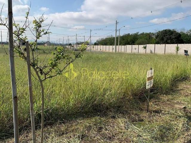 Terreno à venda 175M², Bosque da Imperatriz, Pindamonhangaba SP Condomínio Bosque da Imperatriz
