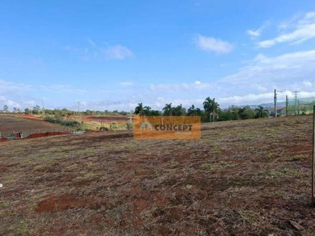 Terreno à venda, 176 m² por R$ 419.000,00 Porteira Preta Mogi das Cruzes/SP