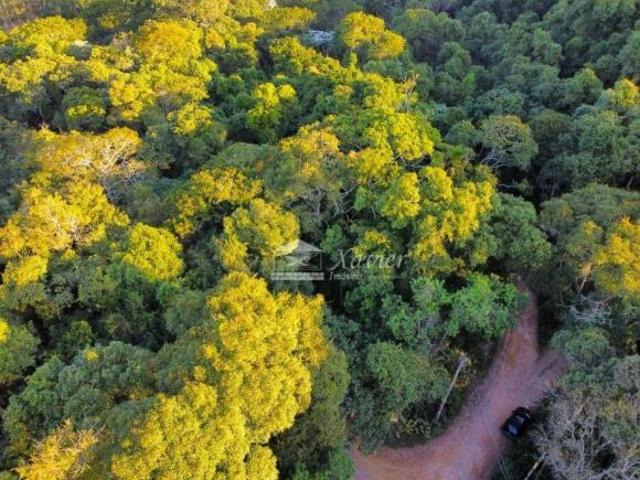 Terreno à venda, 17856 m² por R$ 2.100.000,00 Caete Mailasqui São Roque/SP